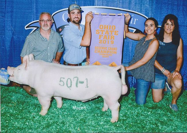 RESERVE YORKSHIRE BOAR - 2019 Ohio State Fair - Genetic Edge