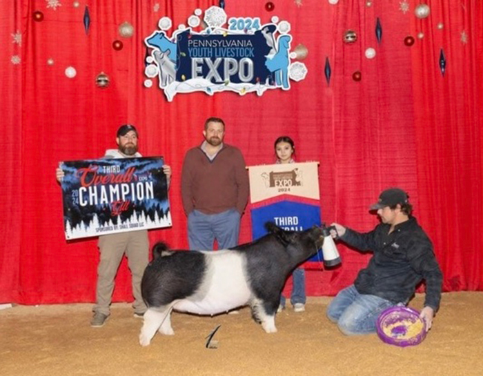 3RD OVERALL BREEDING GILT, 2024 PAYLE - Genetic Edge