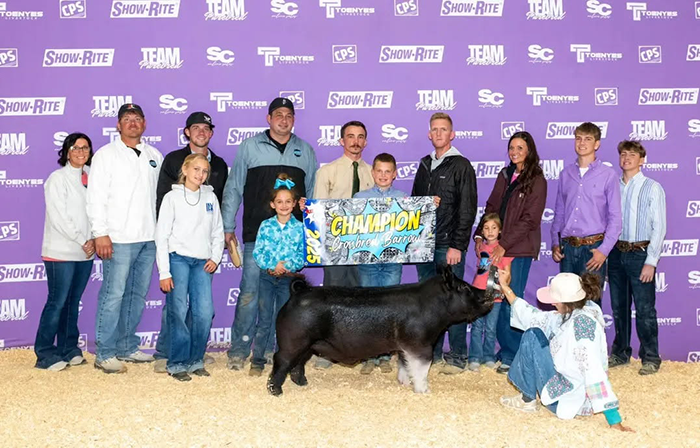 GRAND CHAMPION CROSS BARROW, 2025 National Barrow Show - Genetic Edge