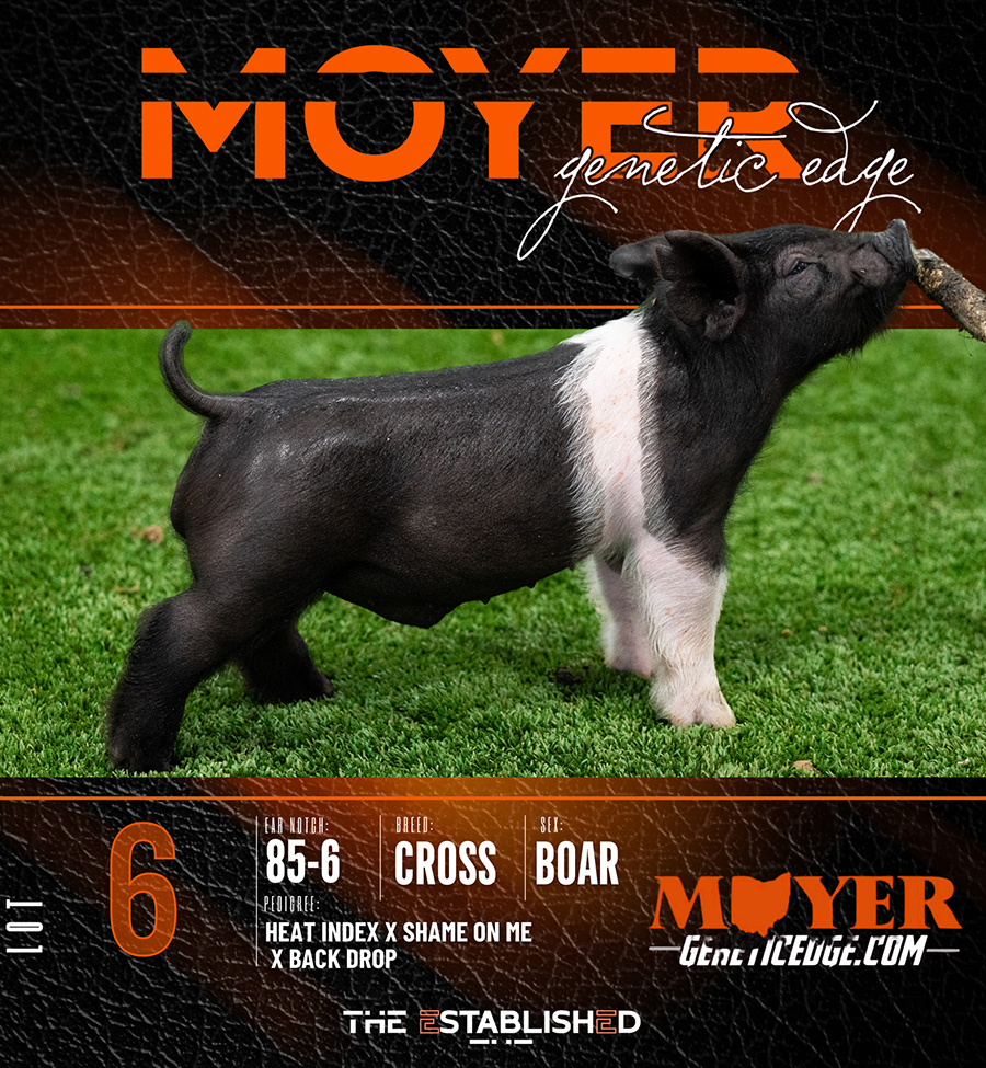 Roasted - Genetic Edge